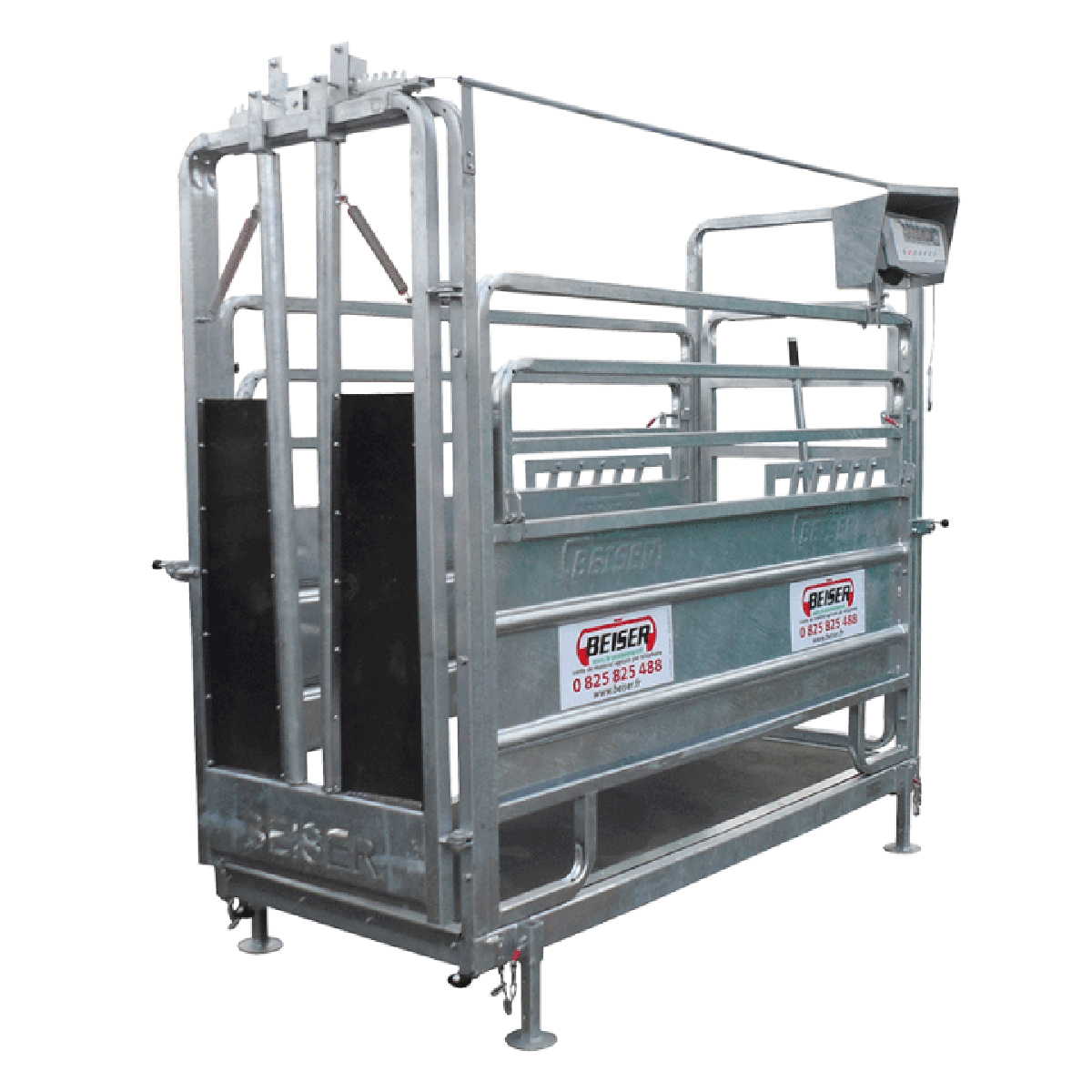 Cage de pesage et de contention pour bovin