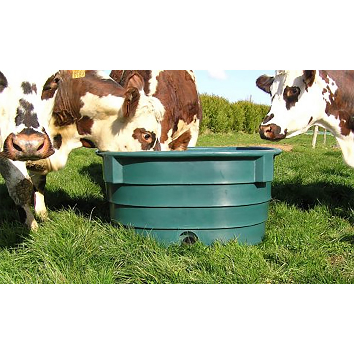 Beiser Environnement - Bacs à eau / herbage en plastique PEHD 600 L